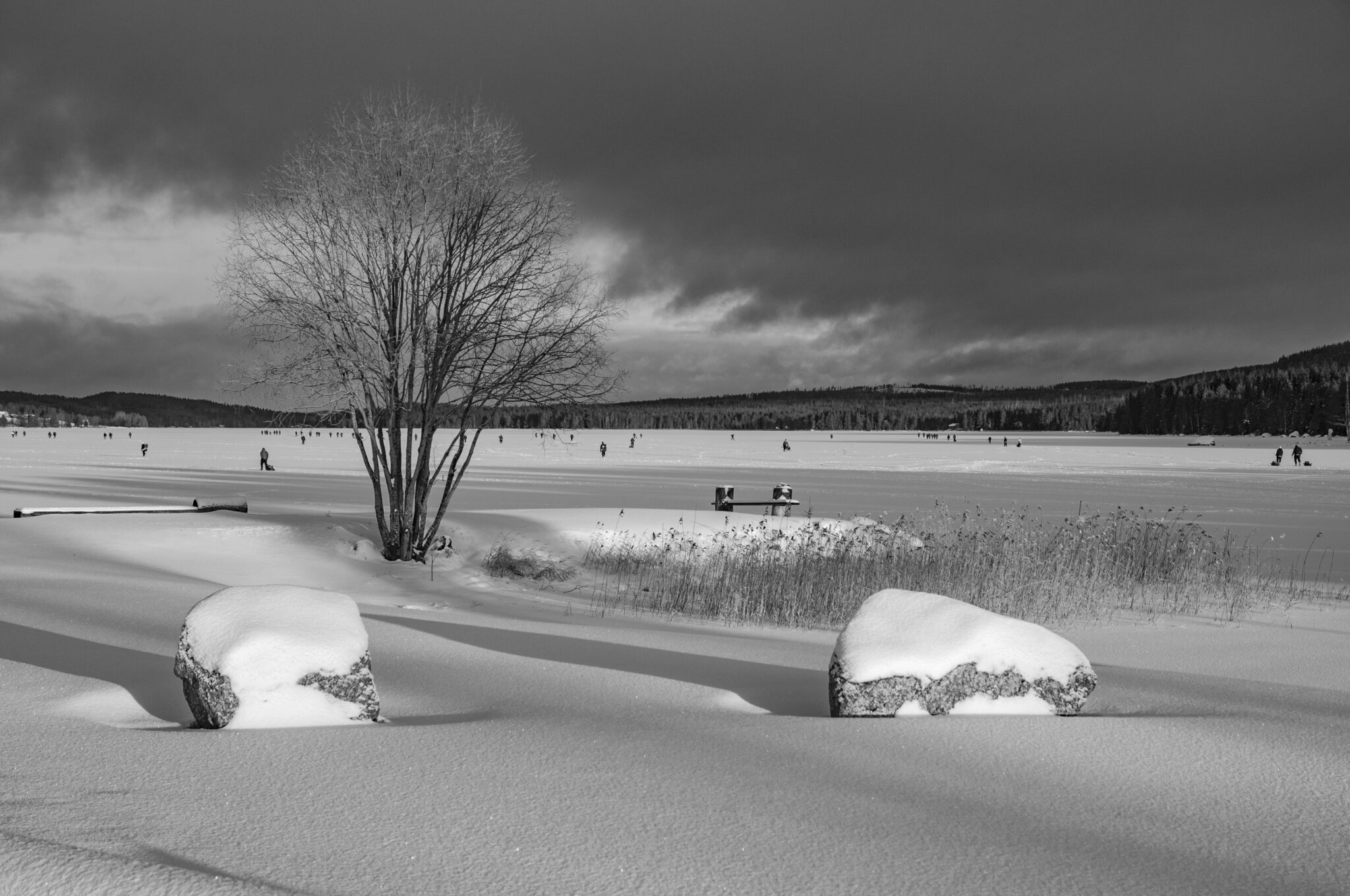 About - Camp Viking Read About Us And The Campsite